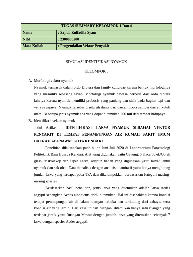 Sajida Zulfadila Syam - Tugas Sesi 13 PVP | PDF