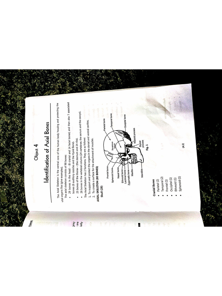 PIC Practical Book | PDF