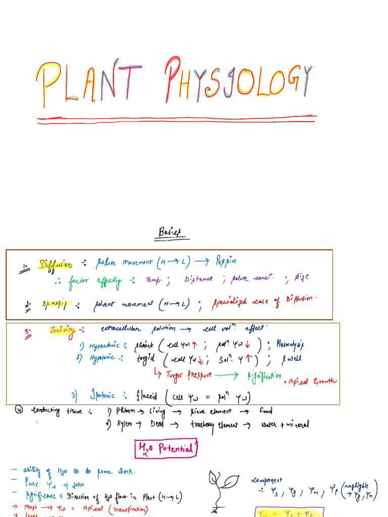 Plant Physiology | PDF