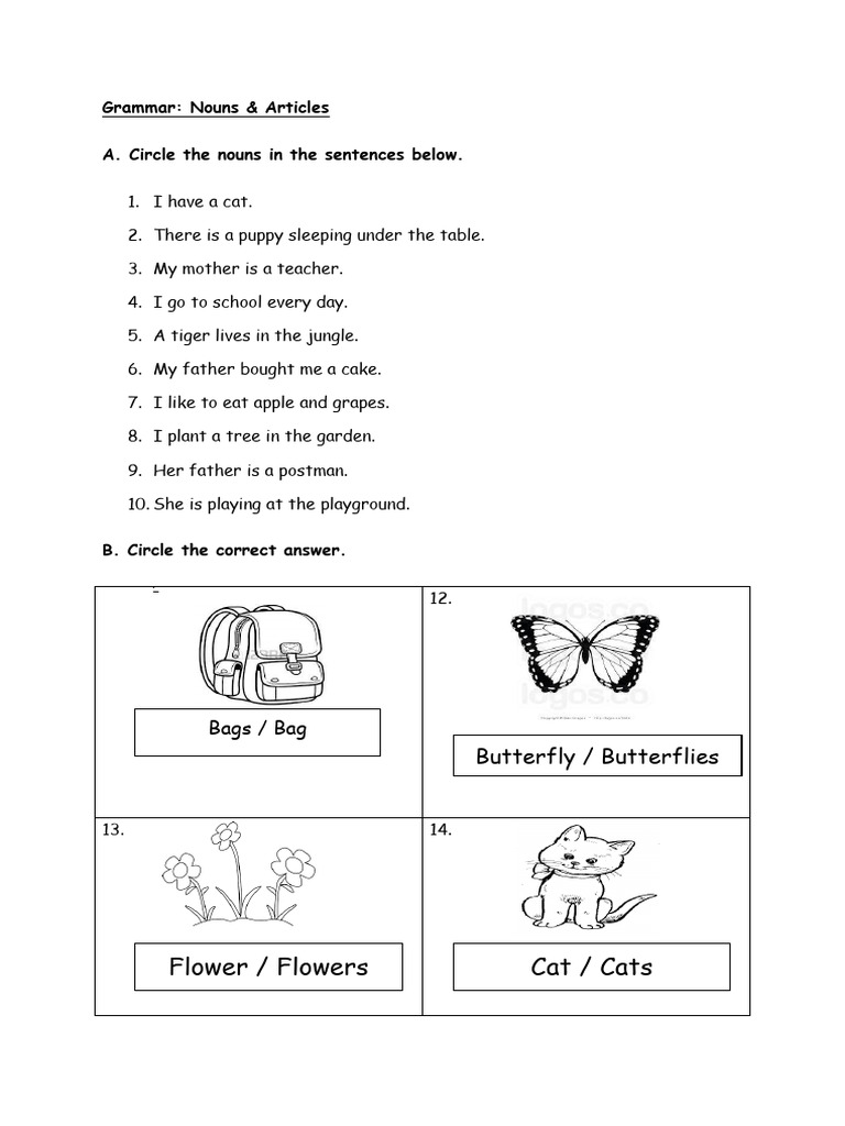 Nouns & Articles | PDF