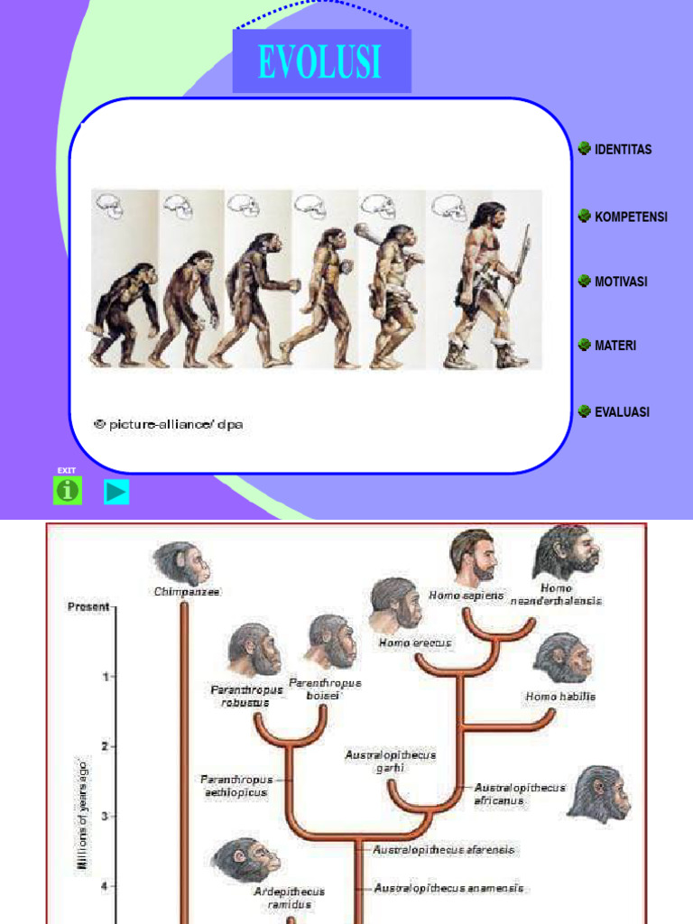 EVOLUSI - Materi Tambahan | PDF