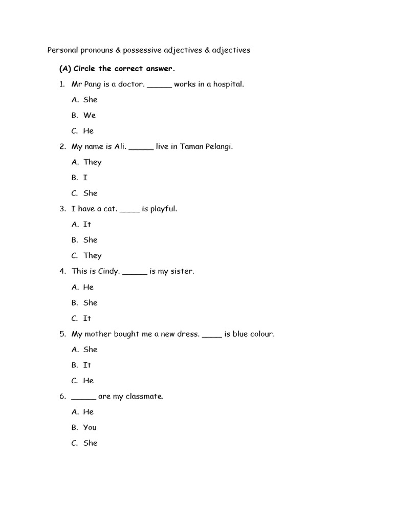 Personal Pronouns & Possessive Adjectives & Adjectives | PDF ...