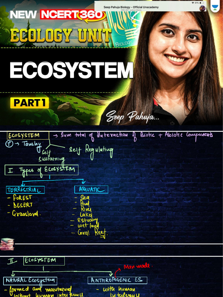 L1 Ecosystem | PDF