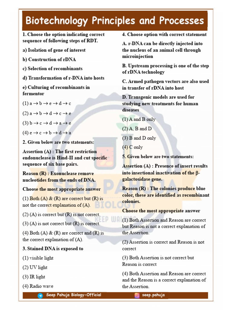 DPP - Biotechnology Principles and Processes | PDF | Recombinant Dna | Restriction Enzyme