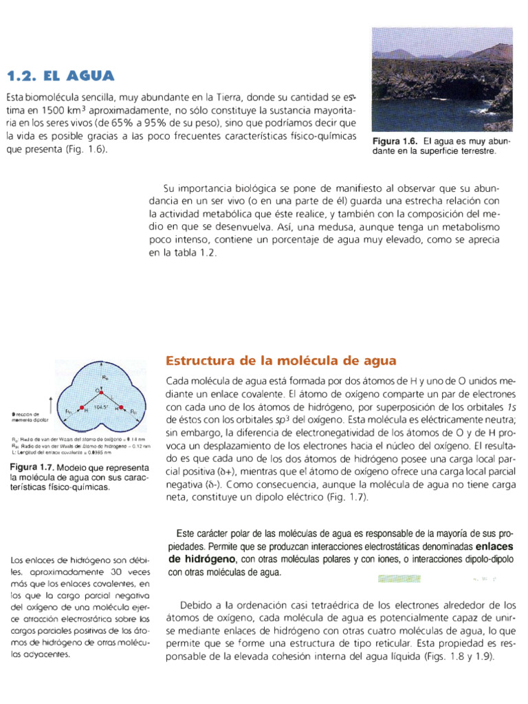 Agua Minerales 21 | PDF | Propiedades del agua | Polaridad química