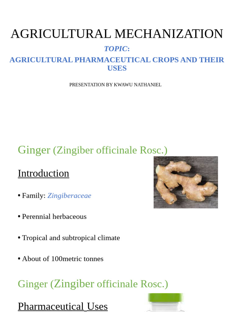 Pharmaceutical Crops and Their Uses | PDF | Basil | Garlic