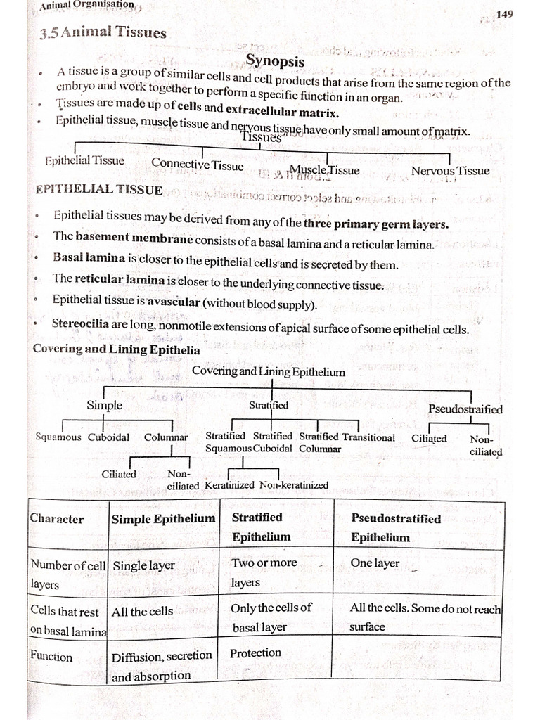 Unit 2 Important Neet Notes | PDF