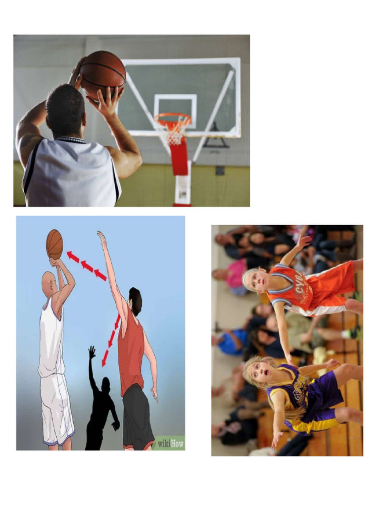 Basketball | PDF