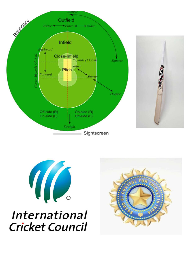 Cricket | PDF