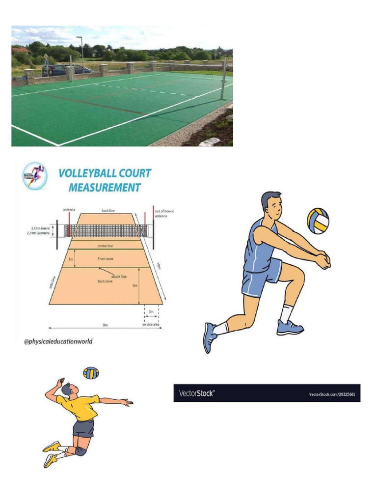 Volleyball | PDF