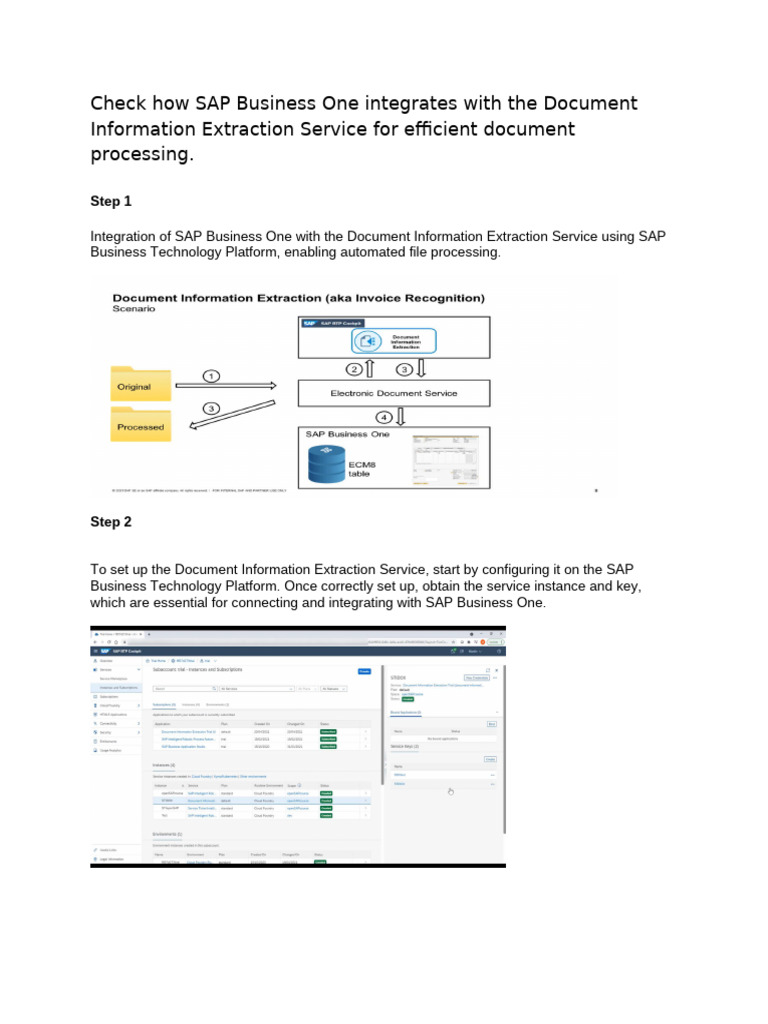 Check How SAP Business One Integrates With The Document Information ...