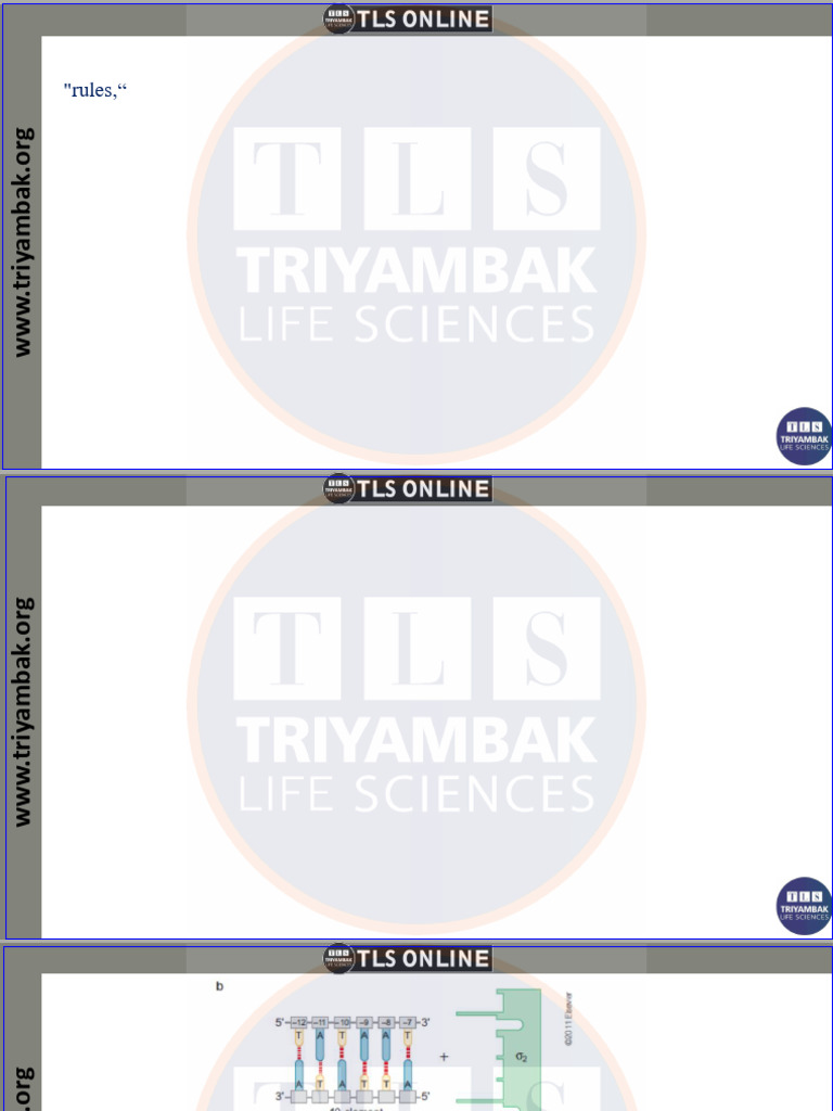 intron | PDF | Intron | Gene