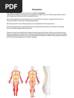 Dermatome of Lower Limb | PDF | Vertebral Column | Spinal Cord