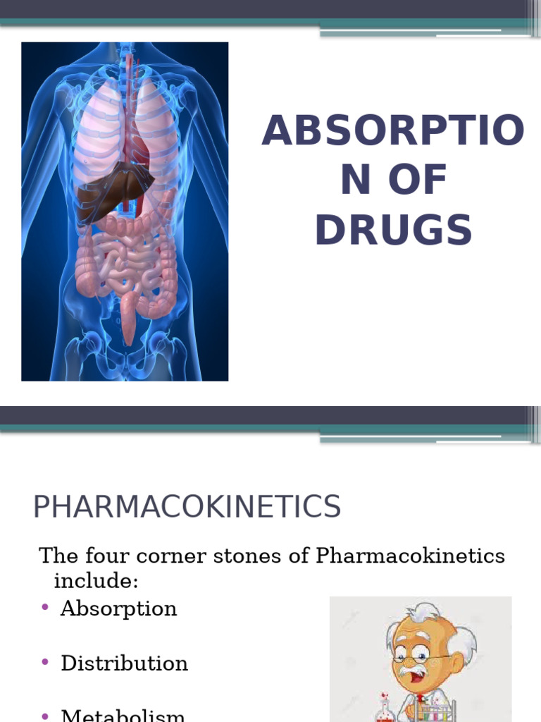Drug Absorption Mechanisms Explained | PDF | Cell Membrane | Diffusion