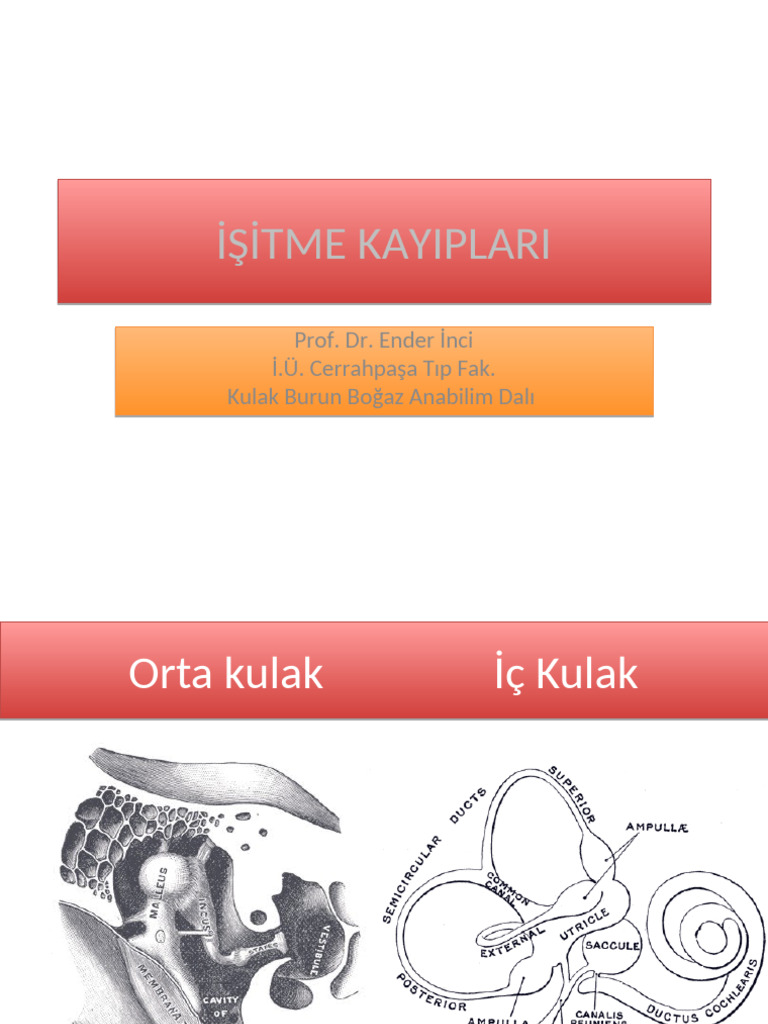 Isitme Kayc4b1plarc4b1 | PDF