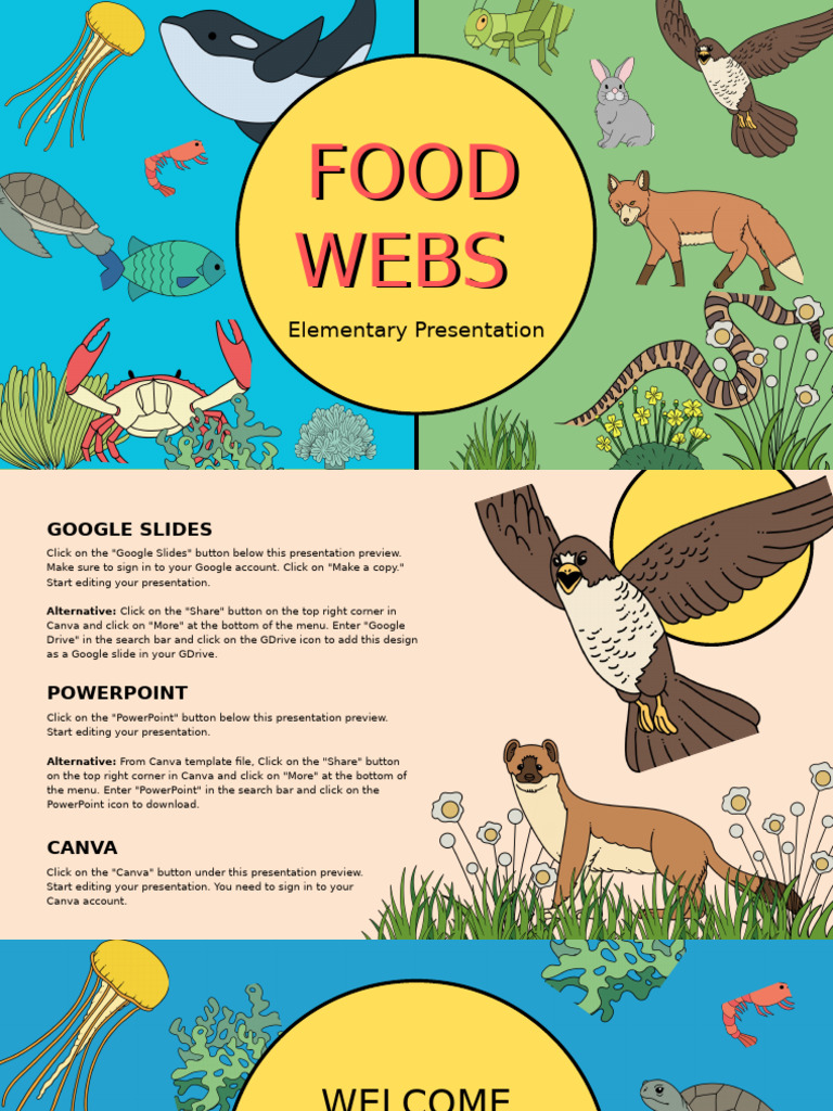 Illustrated Food Webs For Elementary Presentation | PDF | Microsoft ...