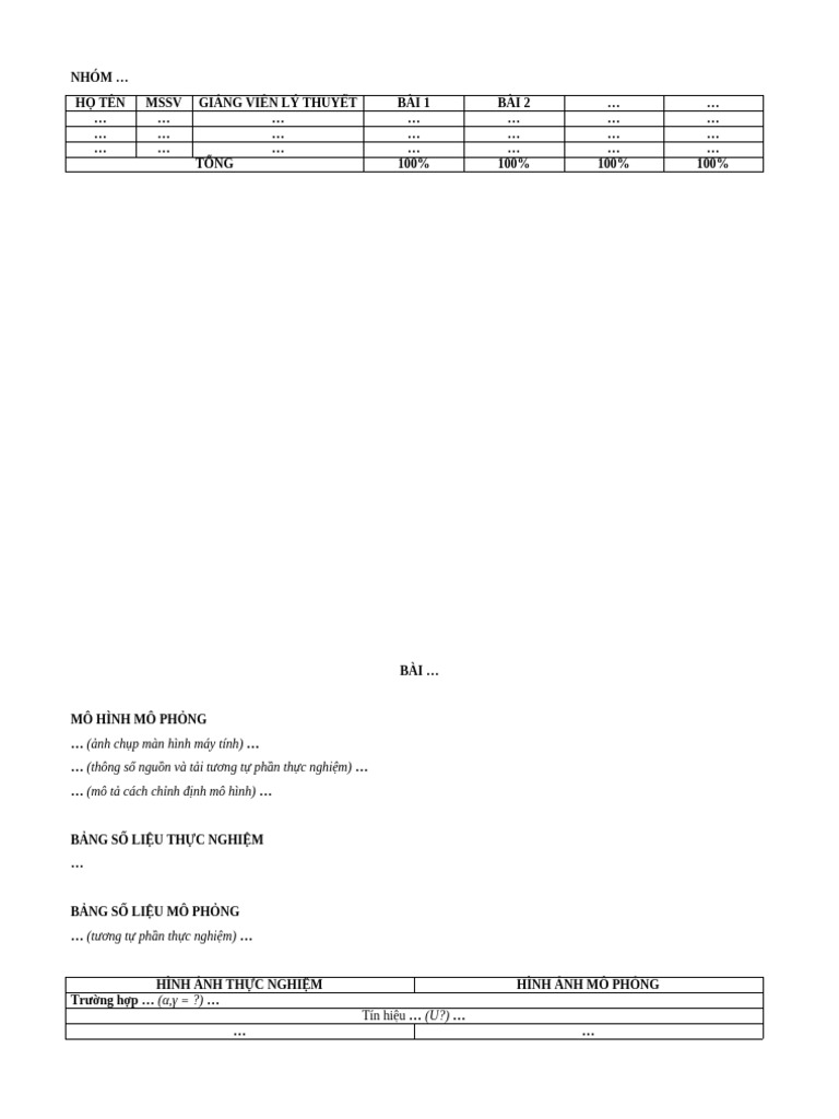 Mau Bao Cao DTCS | PDF