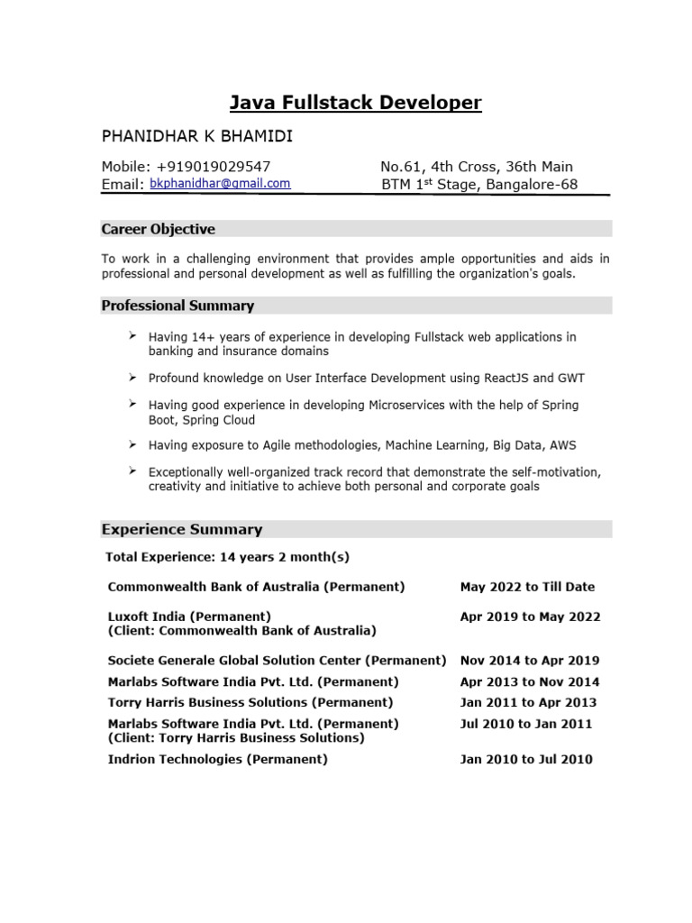 Phanidhar (14y 0m) | PDF | Java (Programming Language) | Software