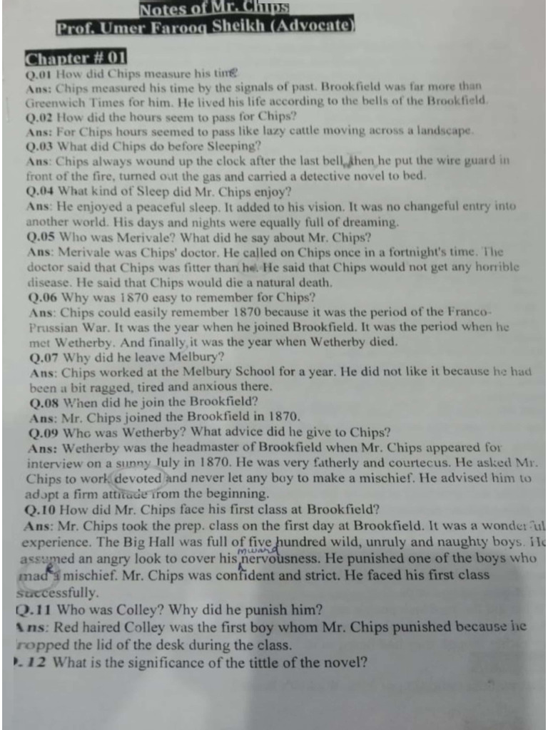 MR - Chips Notes (English) | PDF