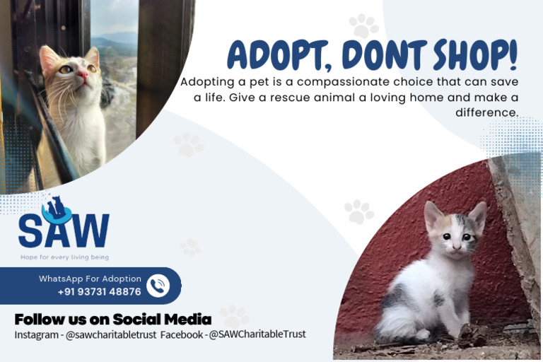 We Take Care of Your Pets - 20241129 - 174128 - 0000 | PDF