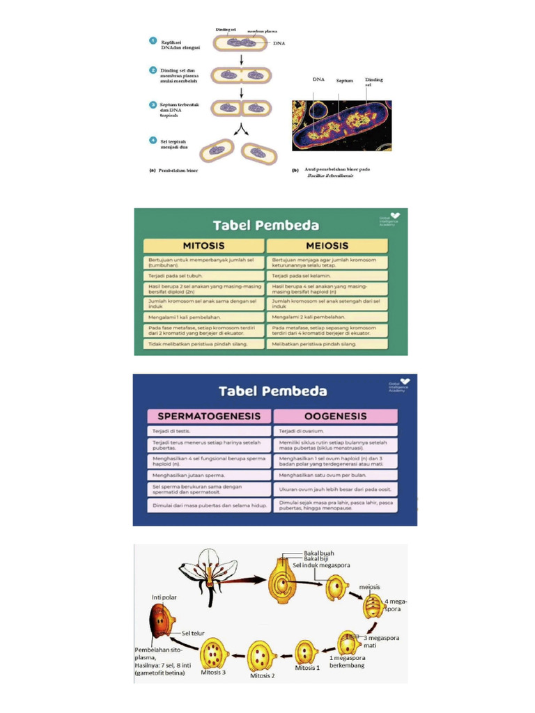 Gambar Bio Materi Roy | PDF