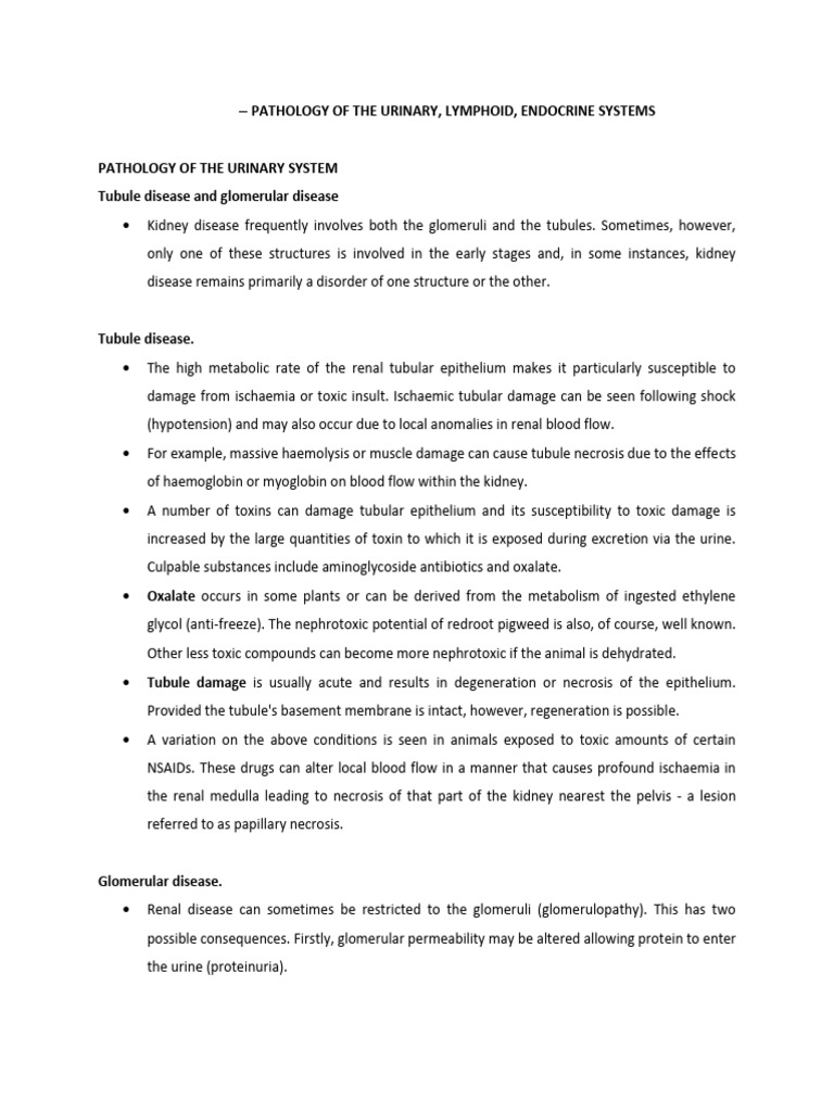 LECTURE EIGHT - Pathology of Urinary, Lymphoid and Endocrine Systems ...
