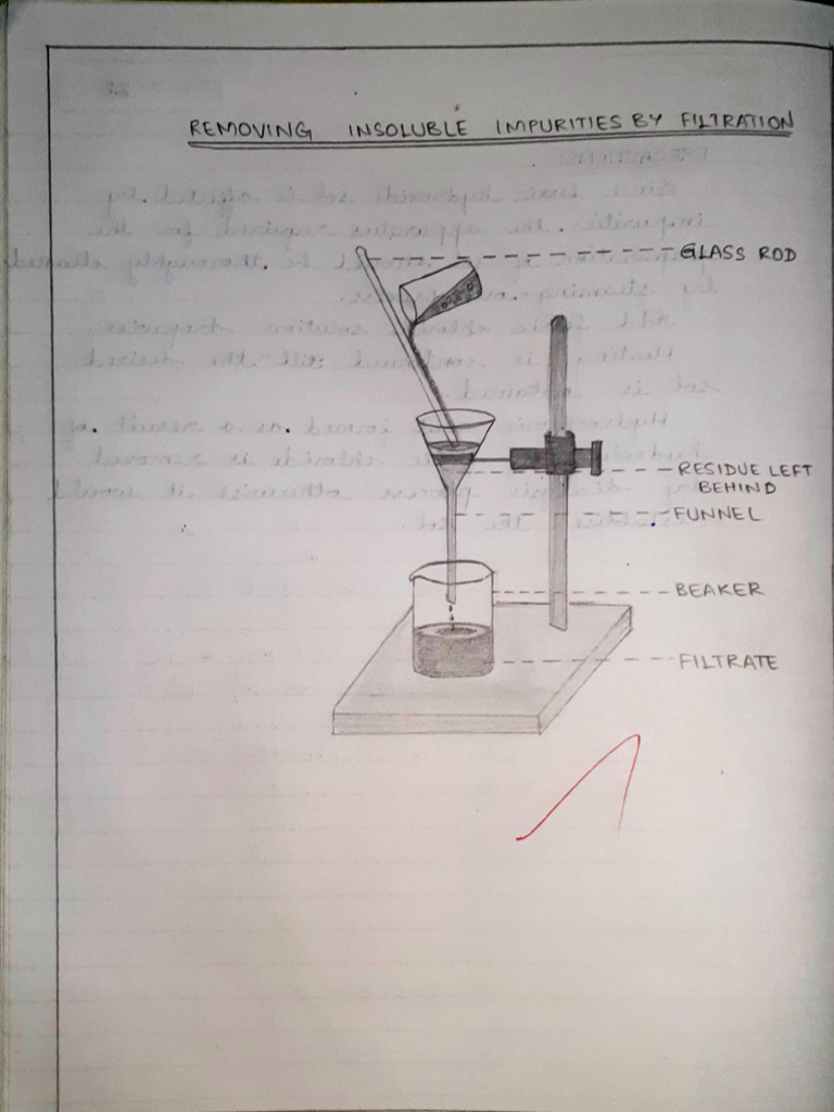 Concept Based Expt 3 | PDF