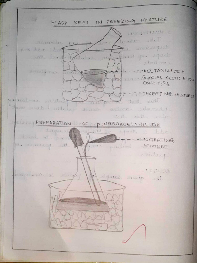 Concept Based Expt 7 | PDF