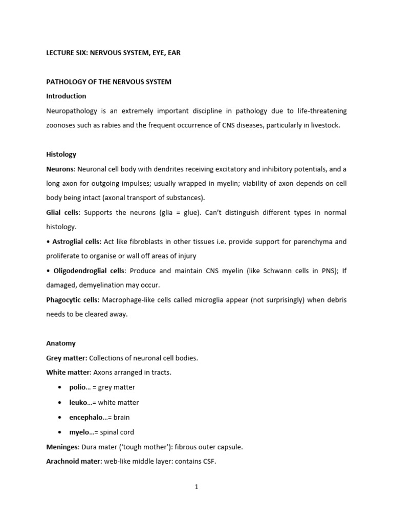 LECTURE SIX - Pathology of Nervous, Eye | PDF | Myelin | Central ...