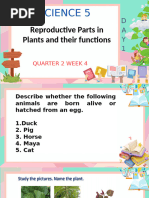 SCIENCE-5-Q2-Module 4 | PDF | Flowers | Plant Reproduction