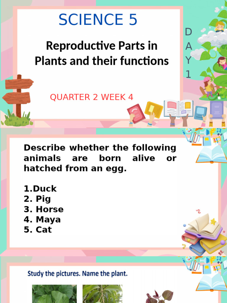 Q2 W4 Science 5 | PDF | Flowers | Petal