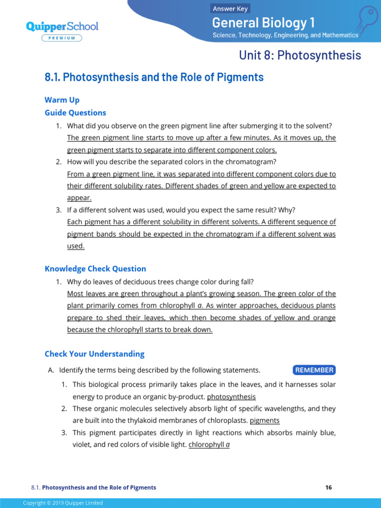 Bio1 11 - 12 Q2 0801 Ak | PDF | Photosynthesis | Chlorophyll