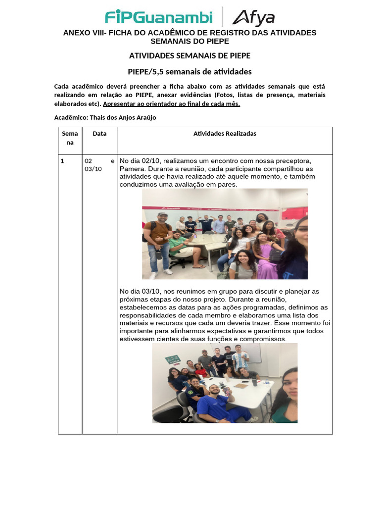 Registro de Atividades do PIEPE | PDF