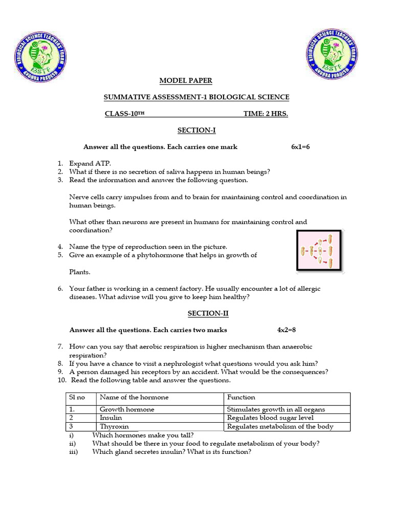 Class 10 Summative Assessment: Biology | PDF | Hormone | Physiology