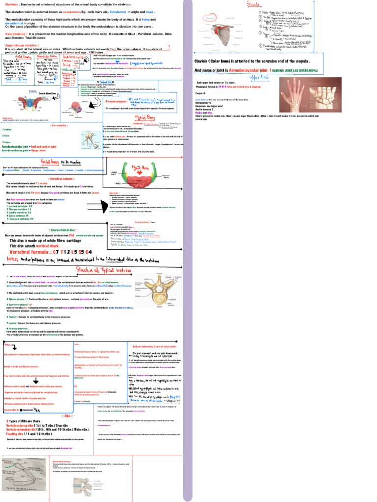 Locomotion Class Note 1 | PDF