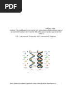 Gene End 5 Prime and 3 Prime Explained | PDF | Science & Mathematics