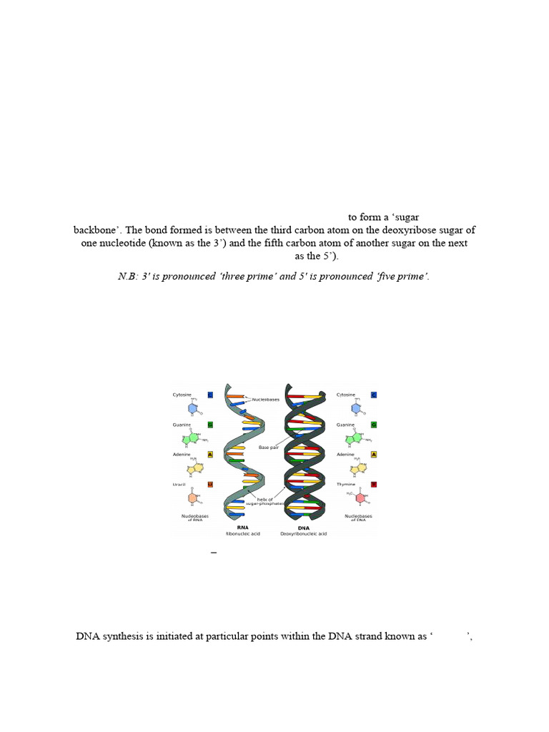 Dna Replication | PDF | Dna Replication | Dna