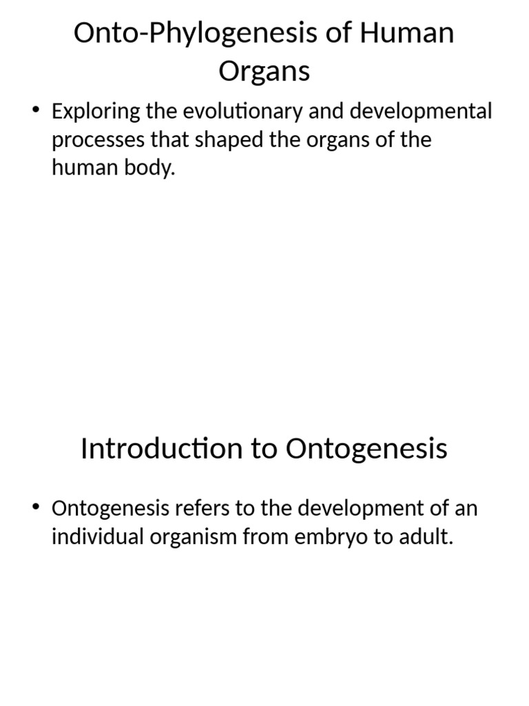 Onto Phylogenesis Human Organs | PDF | Evolution | Human Body