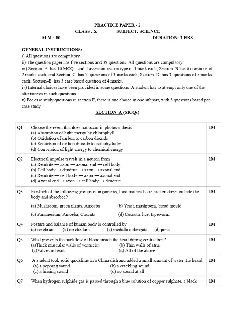 Class 10 Science Practice Paper | PDF | Chemical Substances | Chemistry