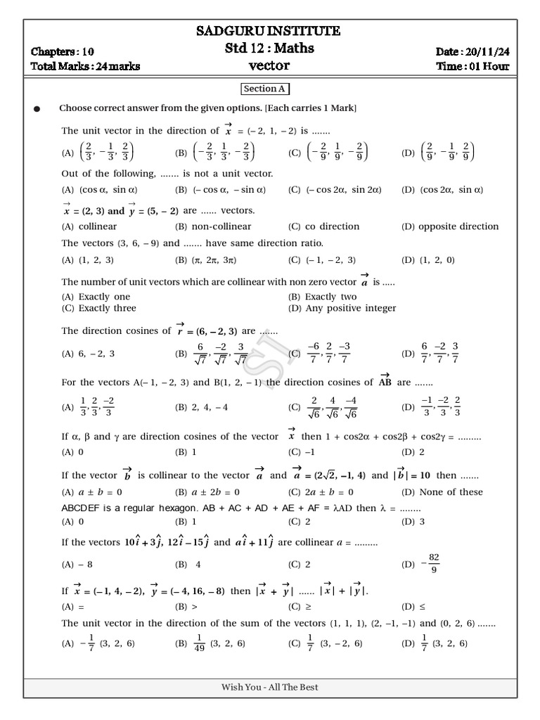 Vector D20 Nov 2024 | PDF | Euclidean Geometry | Classical Geometry
