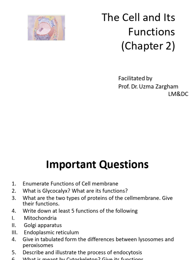 The Cell and Its Functions (Autosaved) | PDF | Cell Membrane | Endoplasmic Reticulum