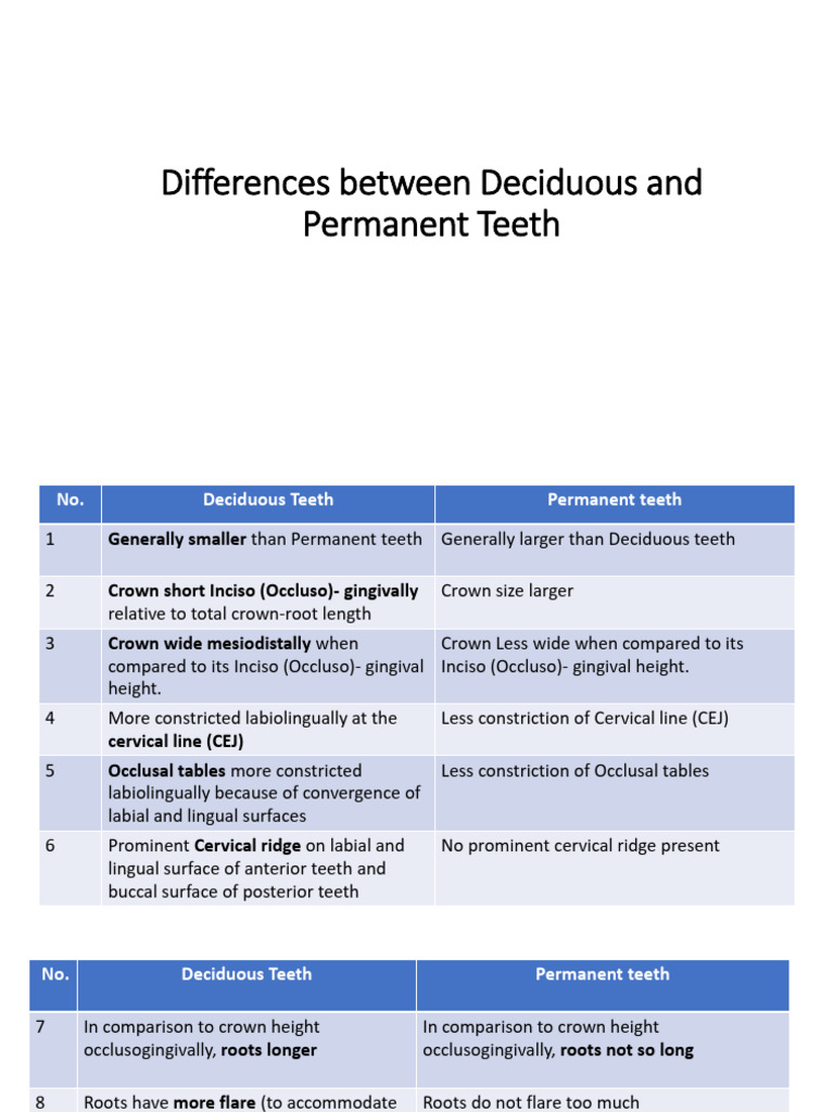 Differences Between Deciduous and Permanent Teeth | PDF