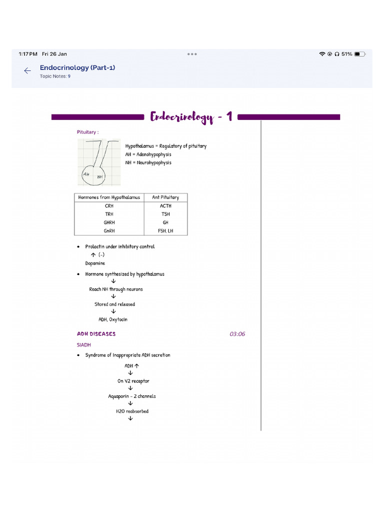 Endo Eguru Rev 4.0 | PDF