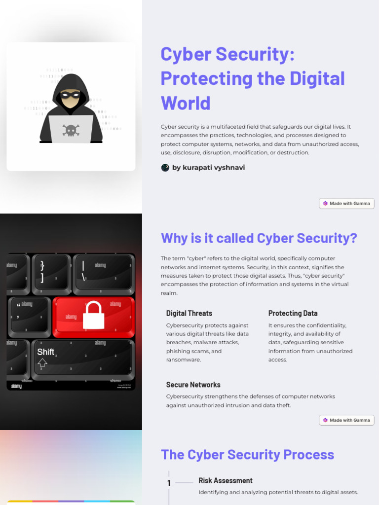 Cyber Security: Safeguarding Digital Assets | PDF | Security | Computer ...