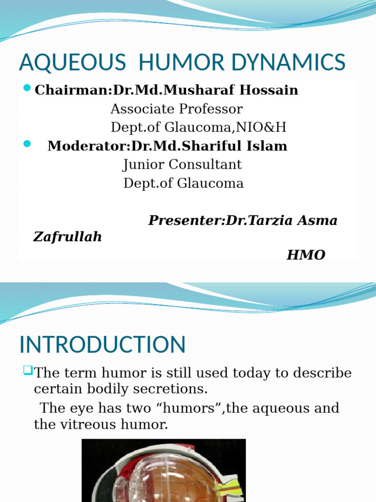 Aqueous Humor Dynamics | PDF | Ophthalmology | Human Eye