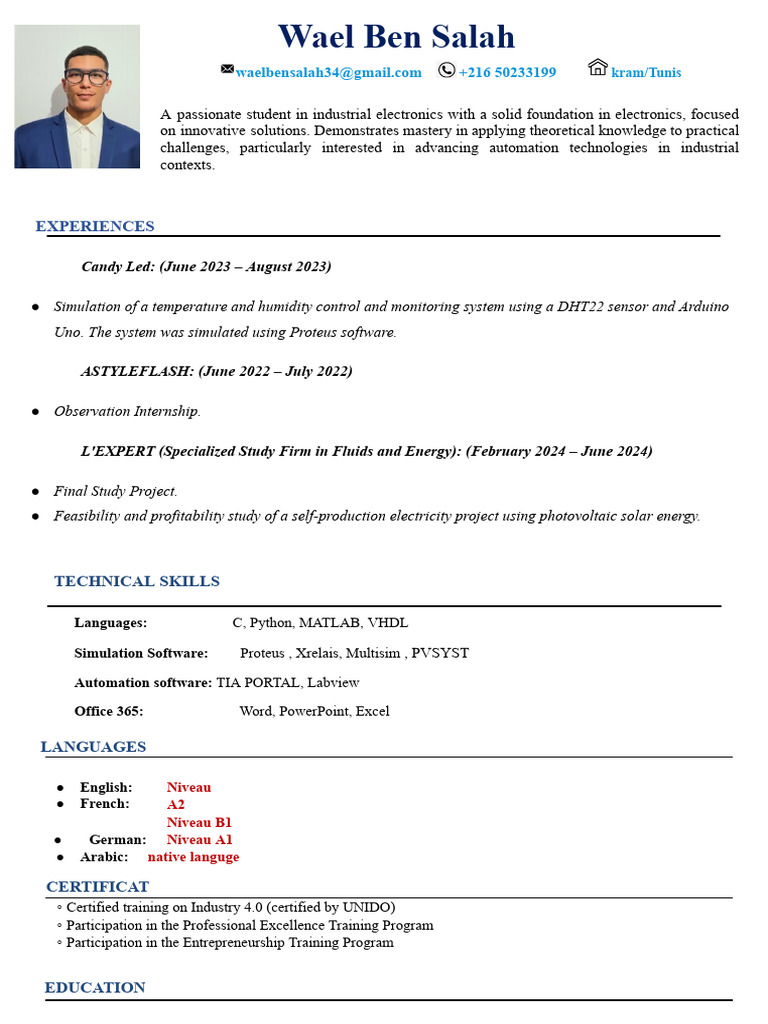 CV Wael Ben Salah | PDF