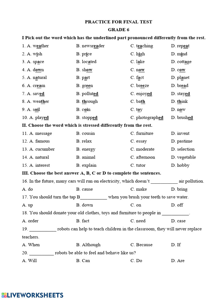 G6 Practice Exercises LWS | PDF