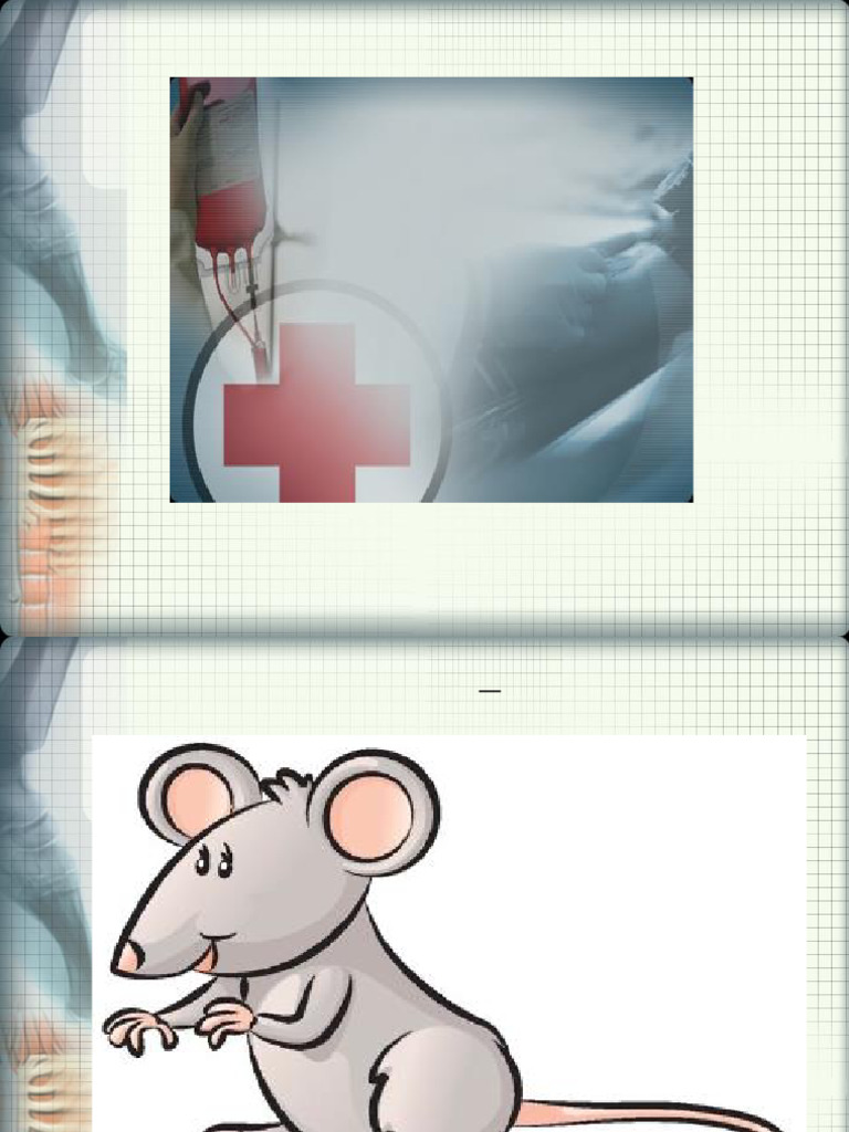 Muscle Gen Anat - MBBS 23-24 | PDF | Muscle | Musculoskeletal System