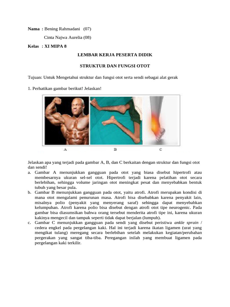 LKPD Sistem Gerak | PDF