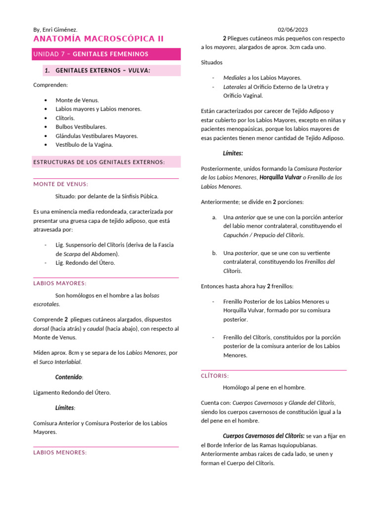 Anatomía de los Genitales Femeninos | PDF | Labios | Vagina
